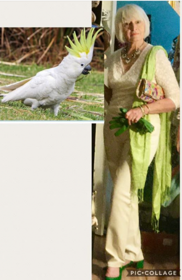 How to Use Birds to Inspire Your Outfit Today — Inside Out Style