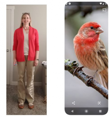 How to Use Birds to Inspire Your Outfit Today — Inside Out Style